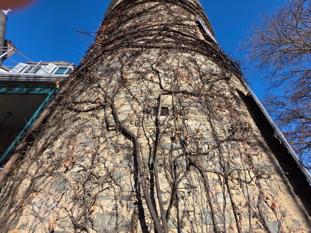 Too MUCH – Dawning Creations